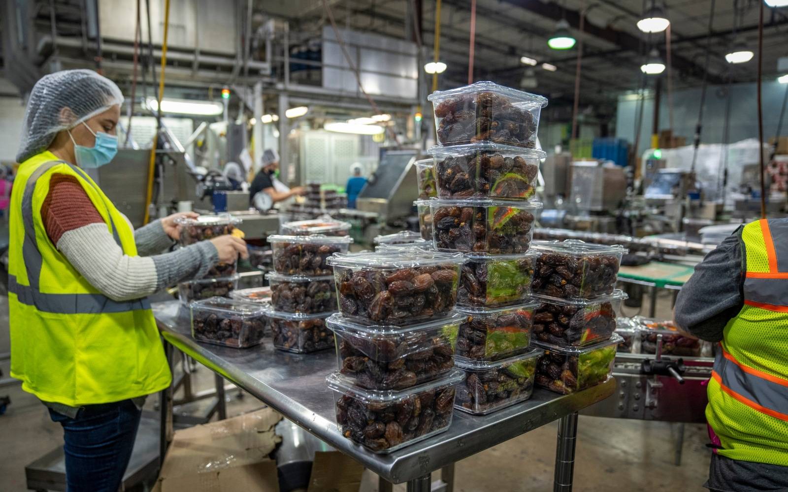 Luxor Staffing Agency: The Food Packing and Production Industry - Luxor ...